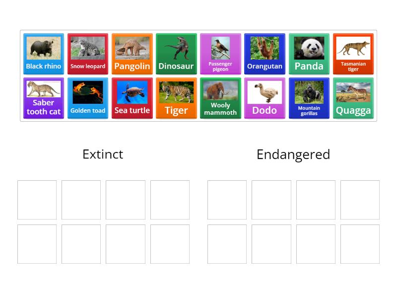 VISUALENGLISH.PL 6 - UNIT 12 - ENDANGERED OR EXTINCT - Group sort