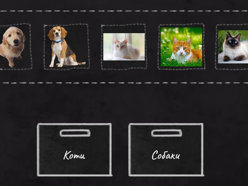 Wordwall game (second not first) - Speed sorting