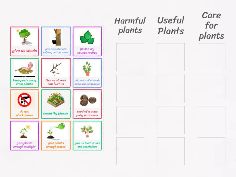 2.2 Revision sorting activity - Group sort
