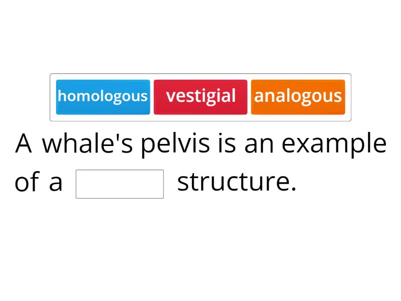 Structures Missing Word - Palabra perdida