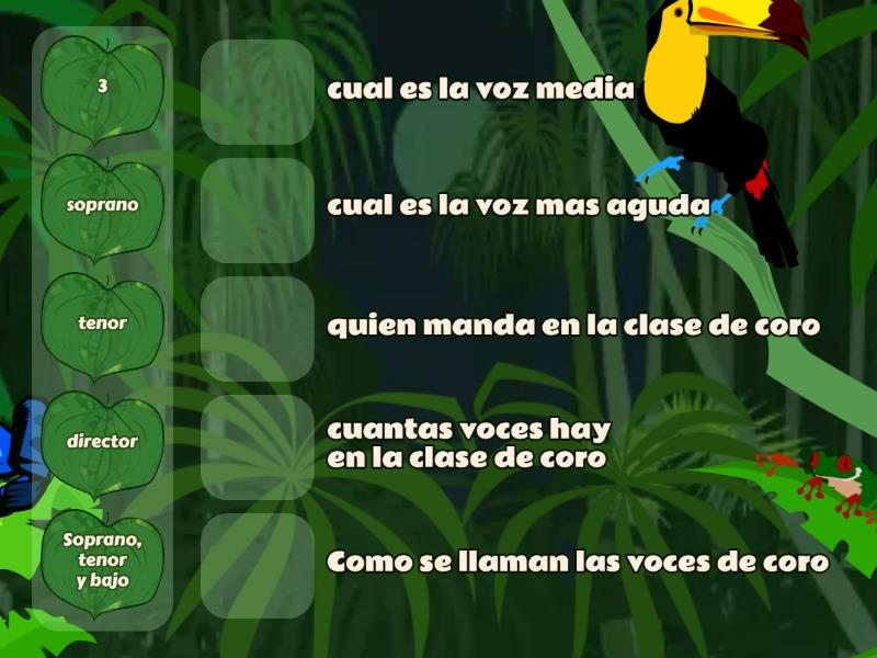 Coro - Match up
