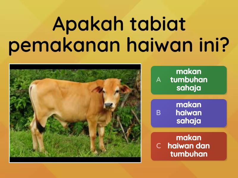 KUIZ TABIAT PEMAKANAN HAIWAN - Cuestionario