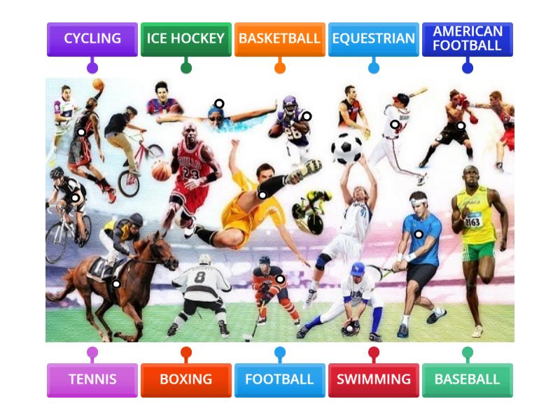 SPORTS - Labelled diagram