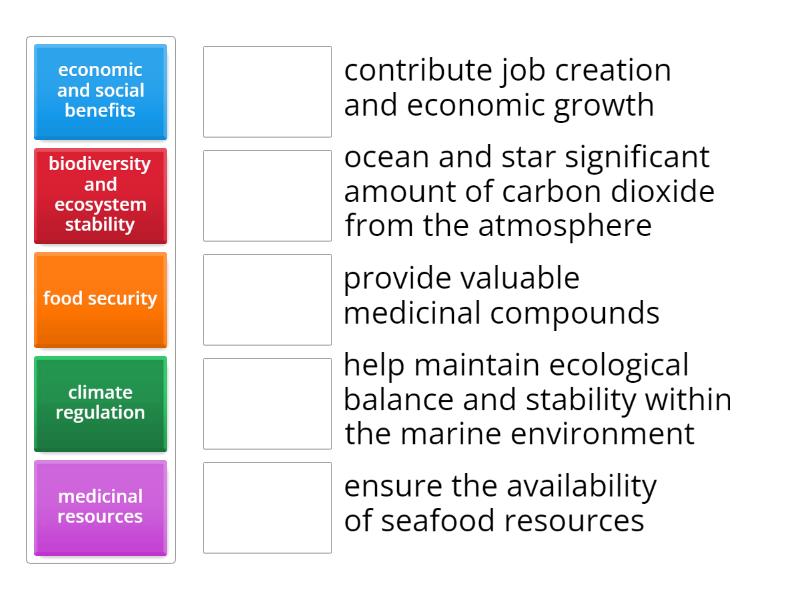 Importance of maintaining health marine ecosystem - Match up