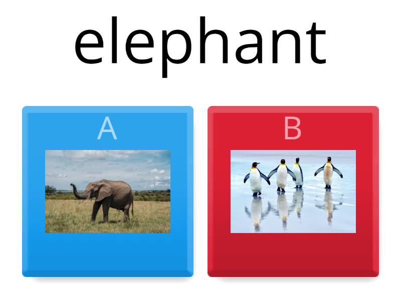 Reading Quiz