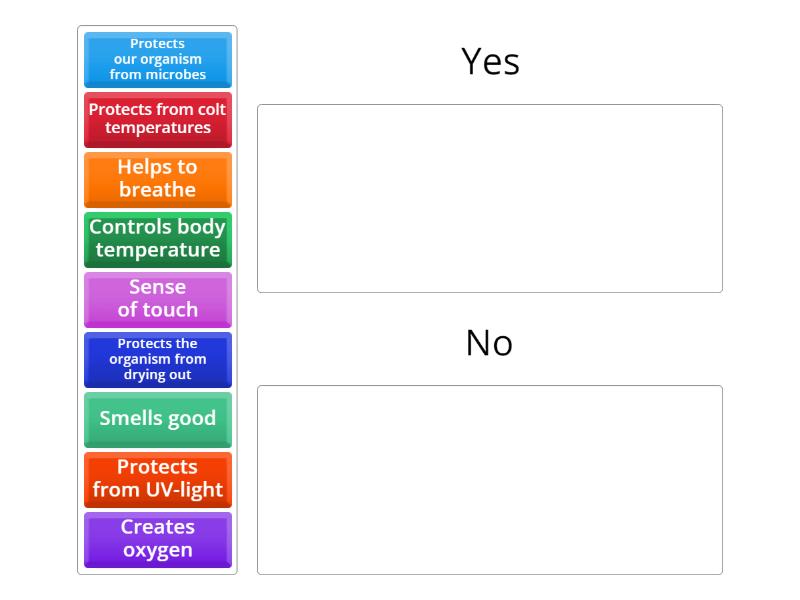 Skin functions - Categorize