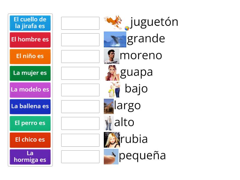 El / Ella es - Match up