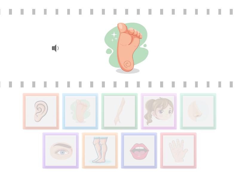 Las partes de mi cuerpo - Find the match
