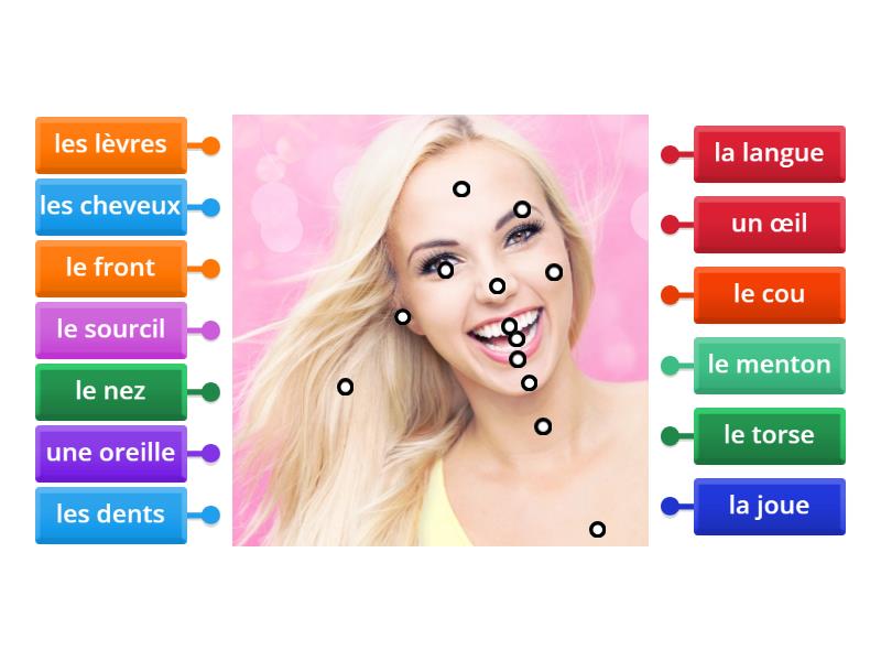 Le visage (A1, A2) - Labelled diagram