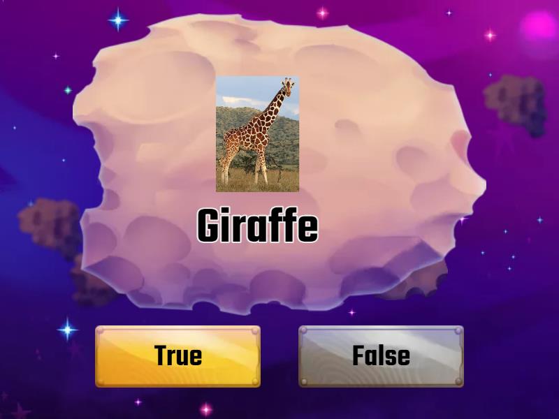 animals - True or false