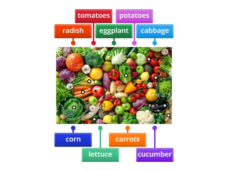 Vegetables - Labelled diagram