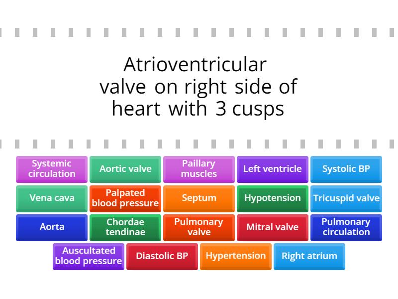 Heart & BP Glossary - Find the match