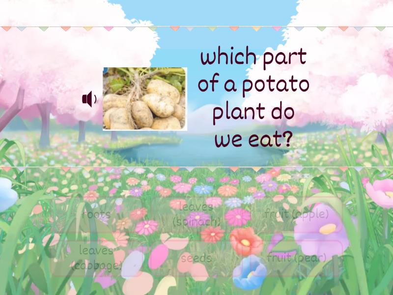 Kid's box 3 unit 6 PB60, ACT2 - Find the match