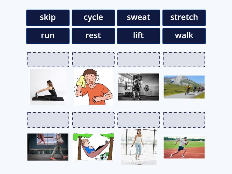 Common Verbs - The Gym - Match up