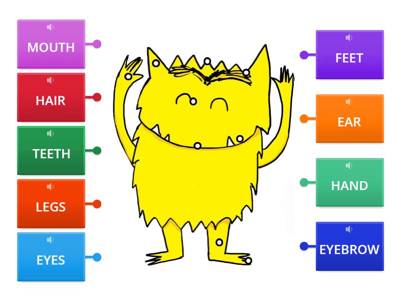 COLOR MONSTER: PARTS OF THE BODY - Labelled diagram