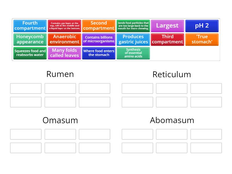 Ruminant digestive system matching activity - Group sort