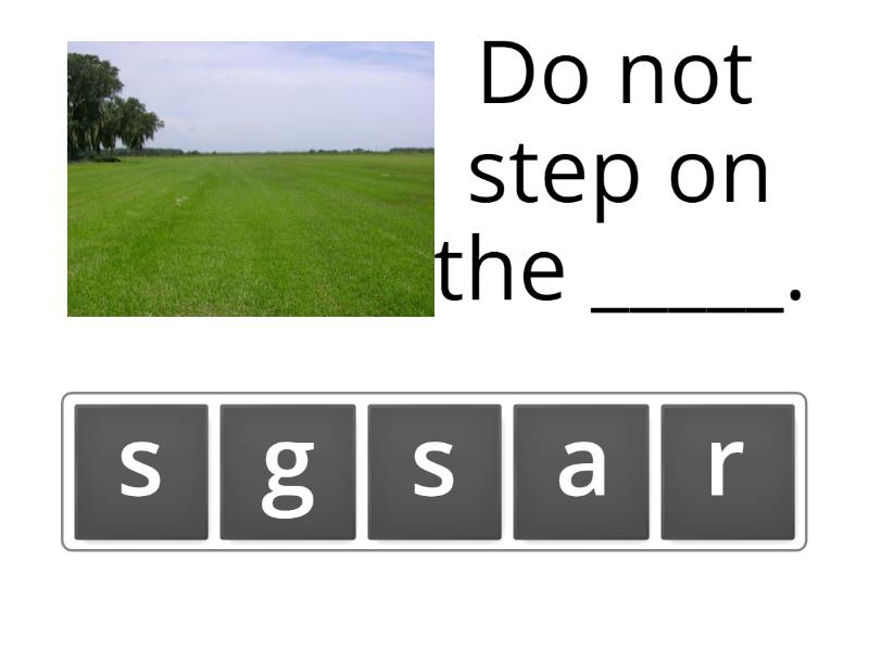 AN ANAGRAM GAME on Consonant Blends - Anagrama
