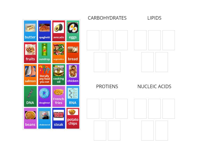 Macromolecules Examples - Group sort
