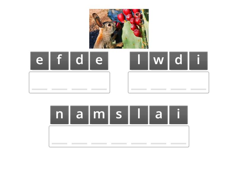 iWonder 2 - Module 8 Remember Box #2 - Anagram