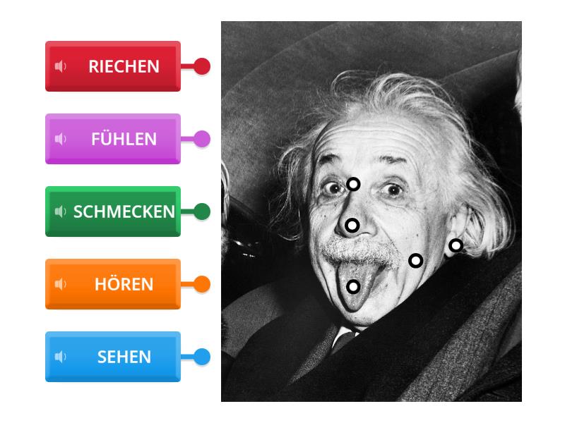 DIE SINNE-GESICHT - Labelled diagram