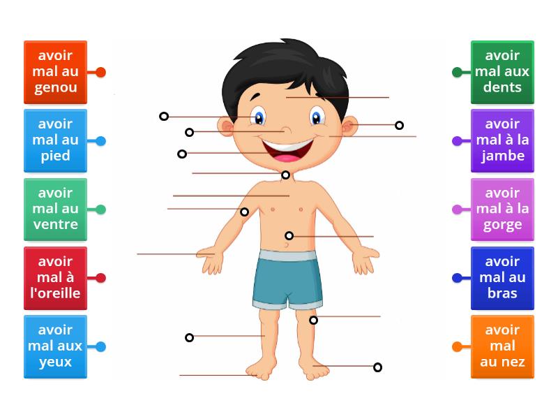 Avoir mal + parties du corps - Diagrama con etiquetas