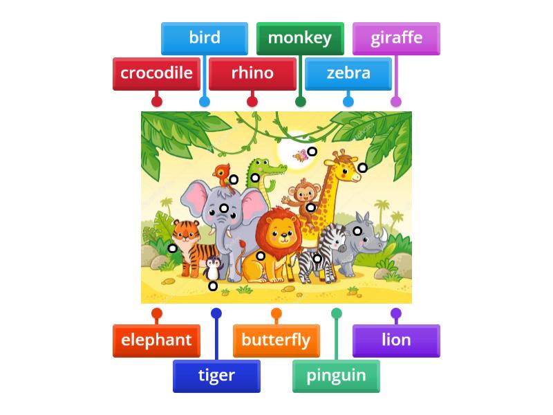 ANIMALS LABEL - Labelled diagram