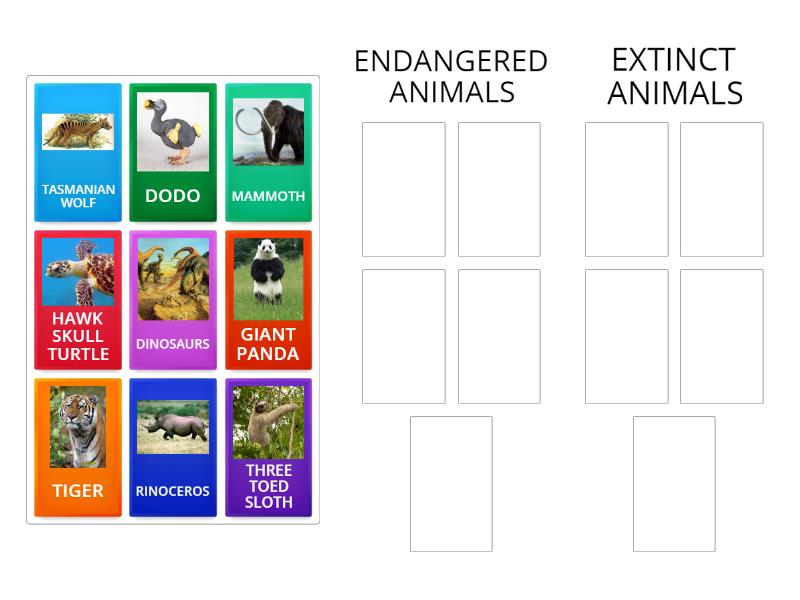 GROUP THE ENDANGERED AND EXTINCT ANIMALS - Group sort