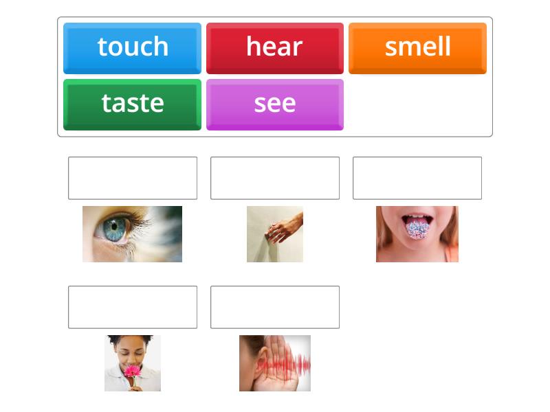Five senses Lesson 1c - Match up