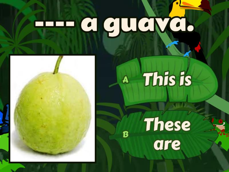 This is / These are fruit Gr1 - Quiz