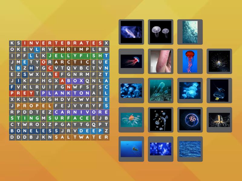 Jellyfish - Wordsearch