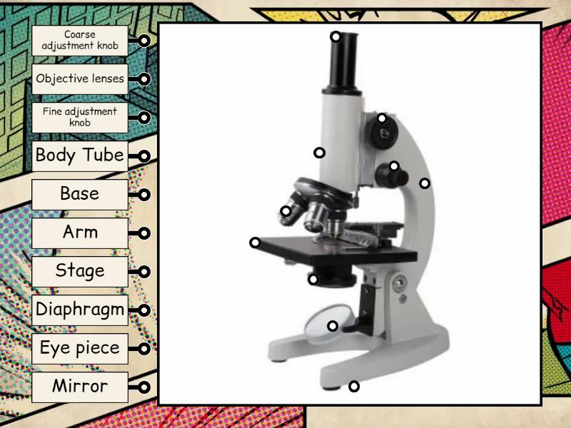 Parts of compound Light Microscope - Labelled diagram