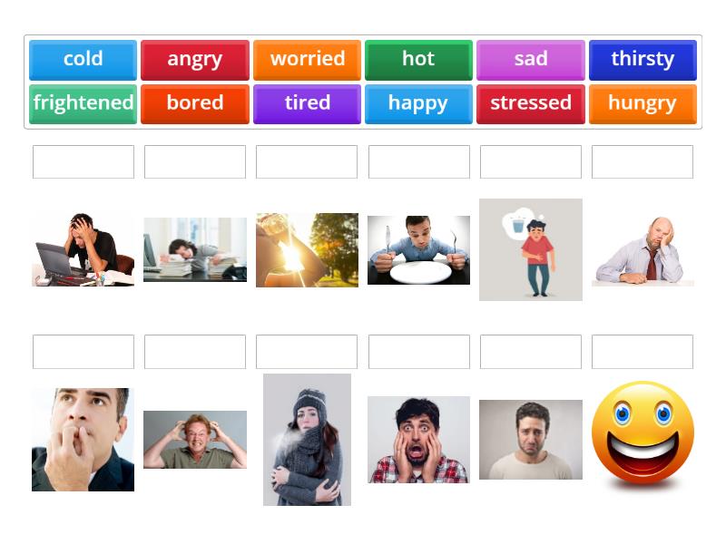 HM Feelings (Unit 2C) - Match up