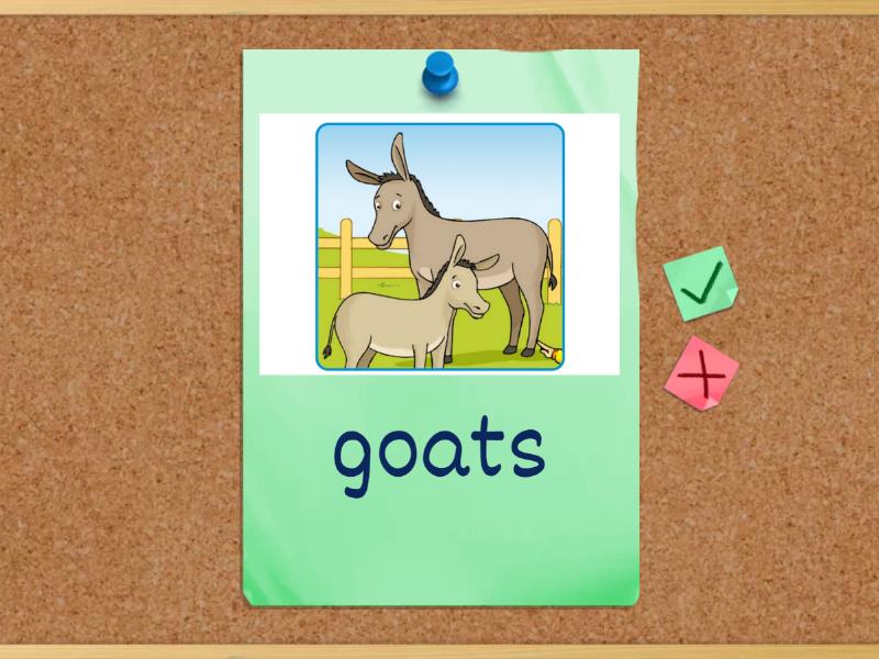 ff 2 unit 15 some any - Flash cards