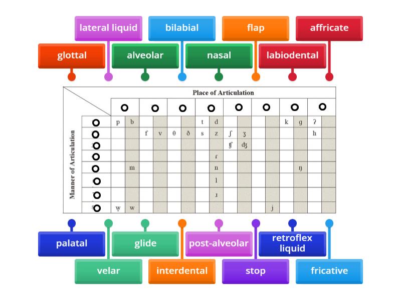 English Consonant Chart Labels - Labelled diagram