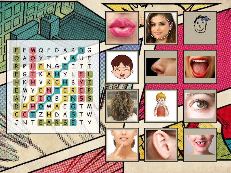 Parts of the face - Wordsearch