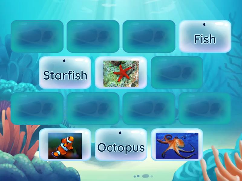 Sea Animals - Combine os pares