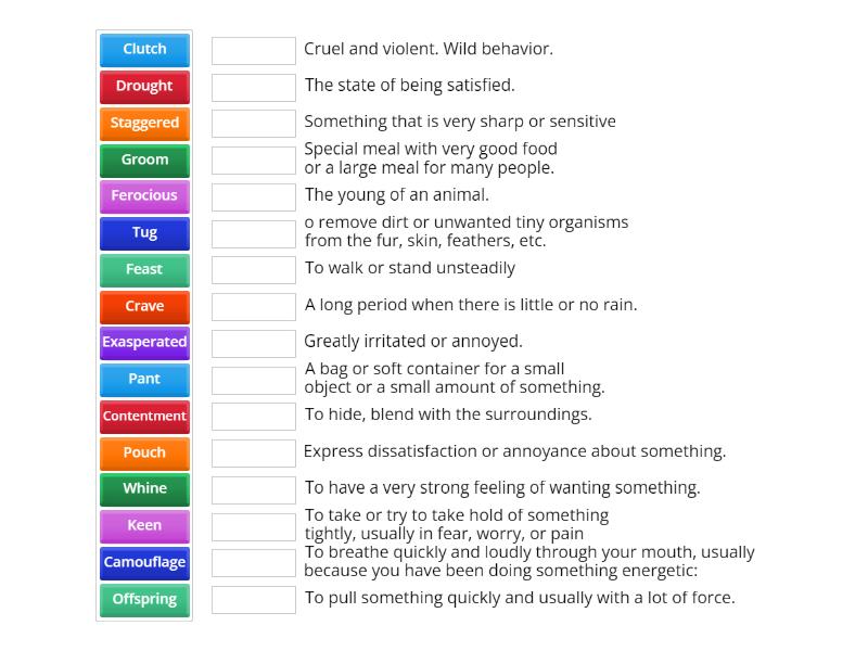Review Make up Exam Vocabulary - Match up