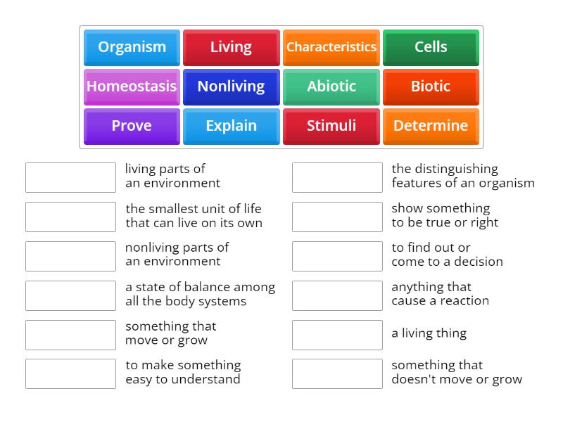 Living vs Nonliving Things - Match up