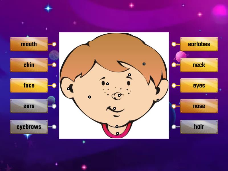 G2: Unit 4: Name the parts of the face. - Labelled diagram