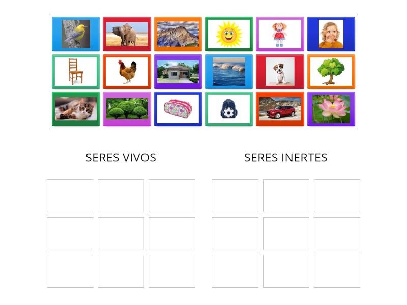 SERES VIVOS Y SERES INERTES 4°A - 2024 - Group sort