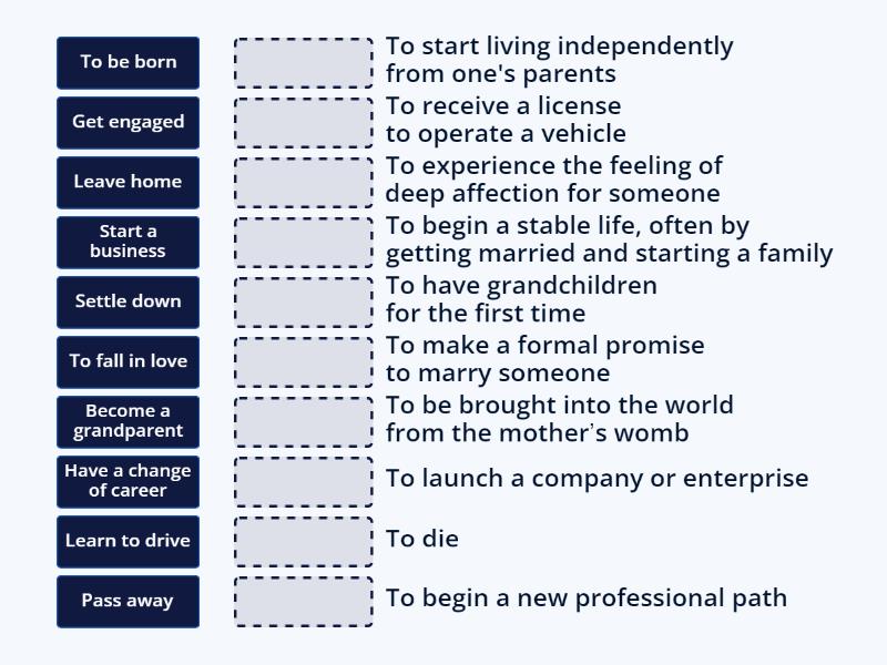 Life stages - Match up