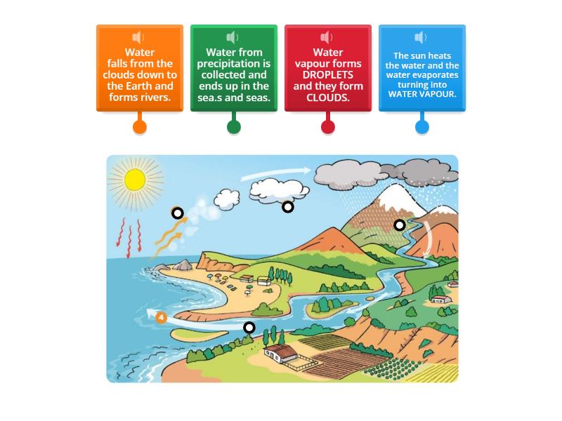 4 - Water cycle - Labelled diagram