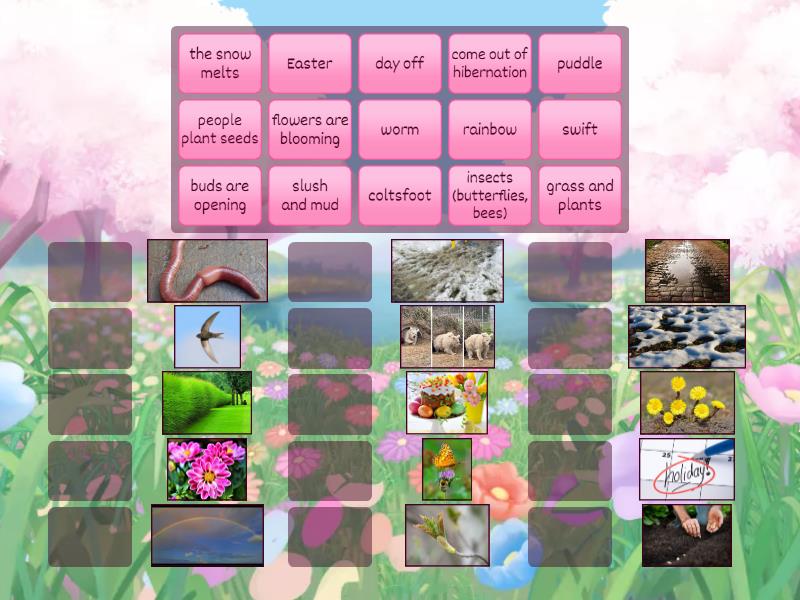 Spring Vocabulary - Match up