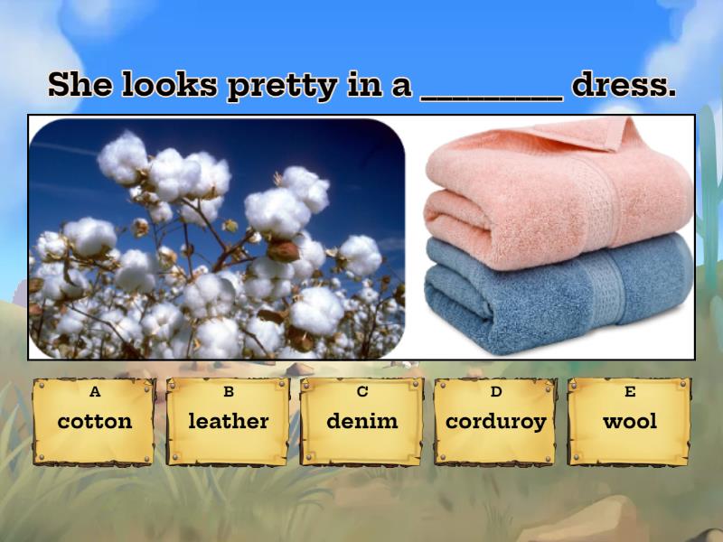 Fabric and Patterns - Practice - Quiz