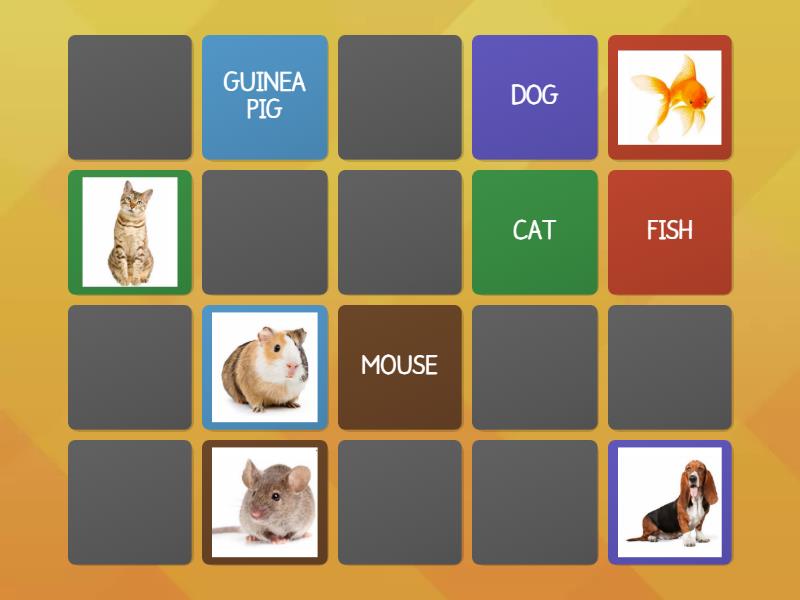 PETS - Matching pairs