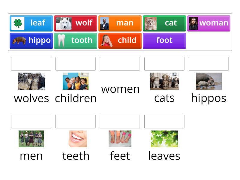 Plurals - Match up