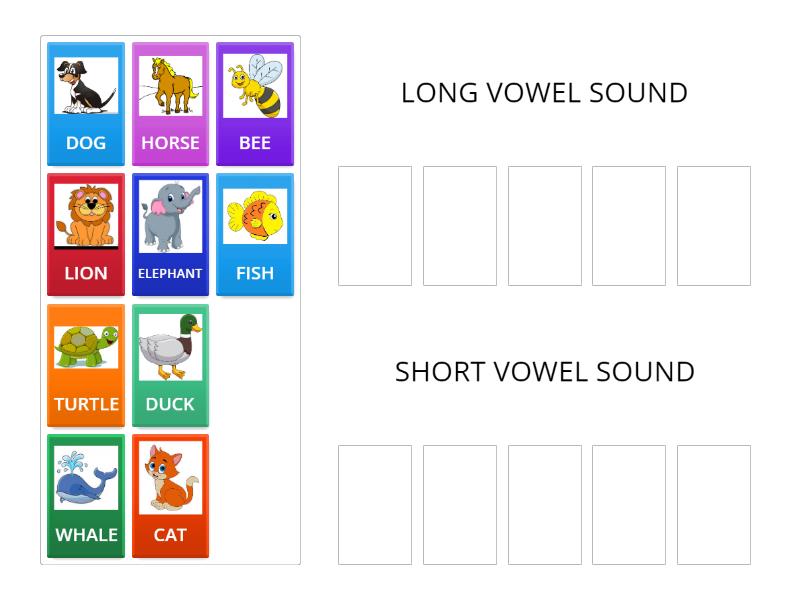 THE VOWELS SOUND WITH ANIMALS - Group sort