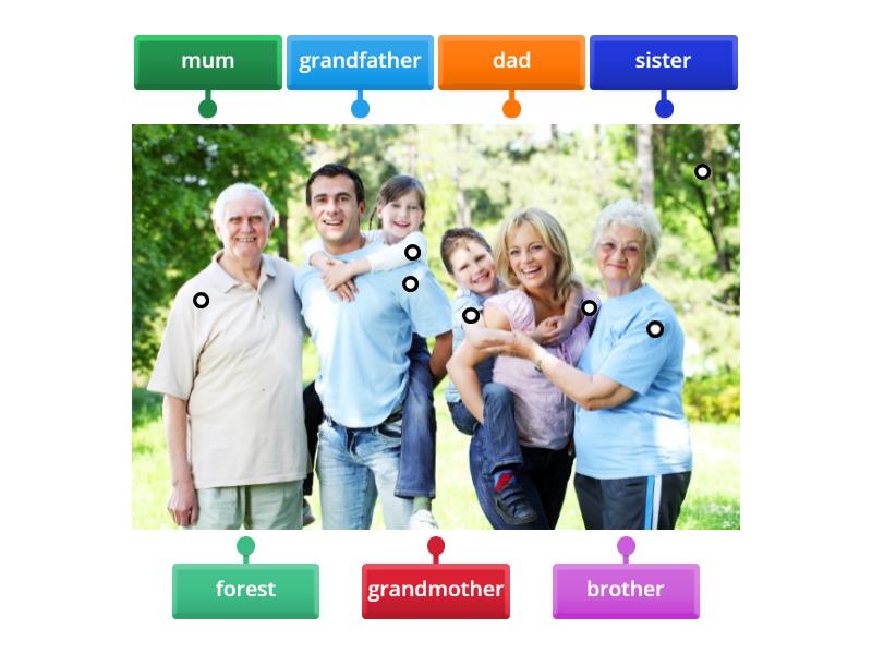 Family - Labelled diagram