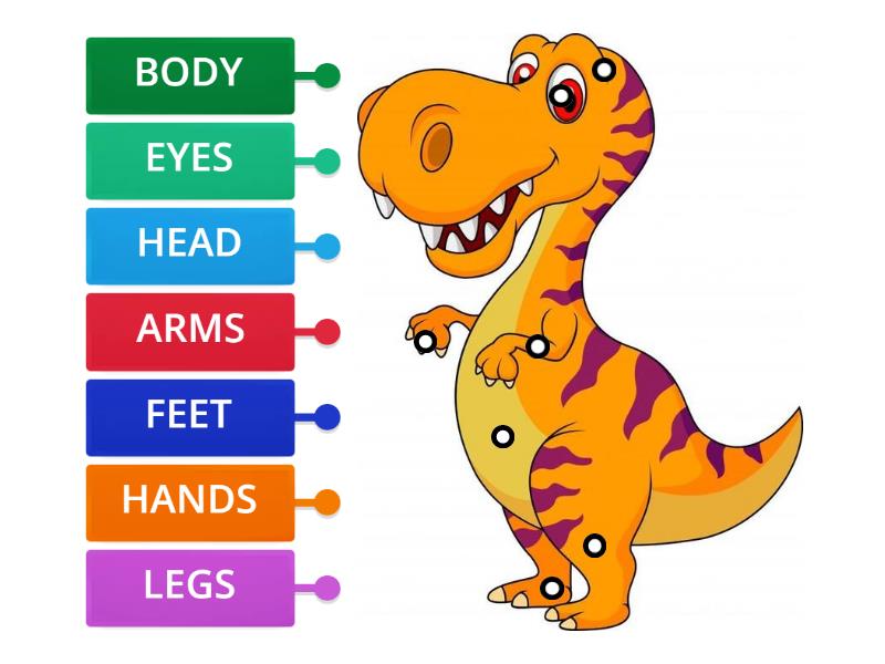 PARTS PF THE BODY - Labelled diagram