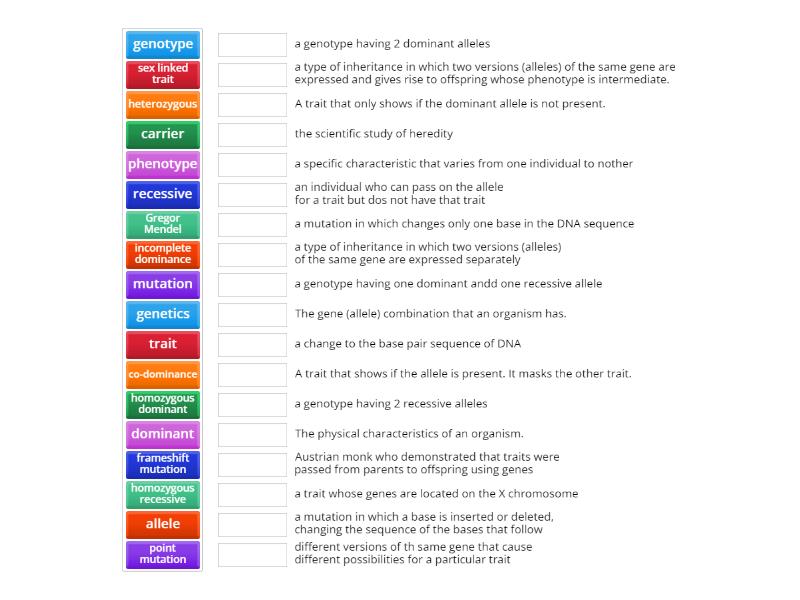 Inheritance vocabulary - Match up